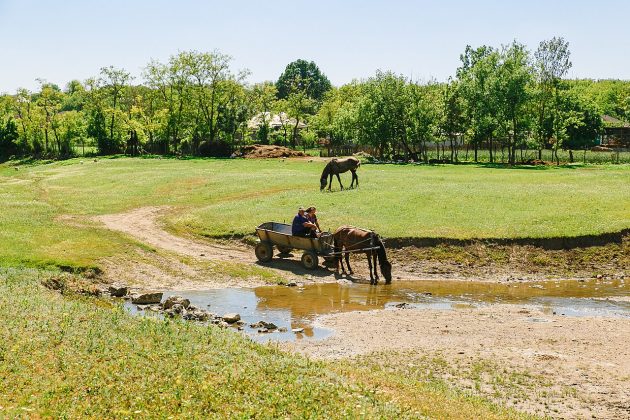 Semnificația visului cu o CĂRUȚĂ [în 2025] - DreamGeek