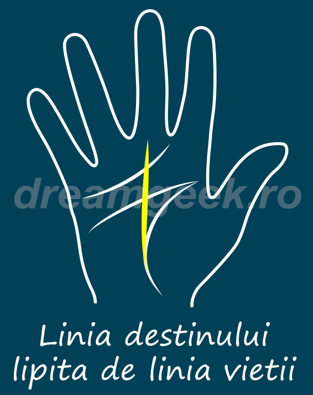 Misterul LINIEI DESTINULUI în palmă [în 2026] - DreamGeek